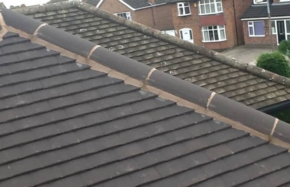 Specialist Pointing | M Harrison Pointing